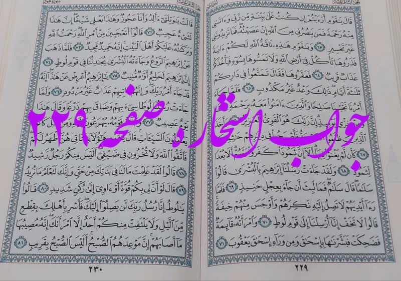 Page229